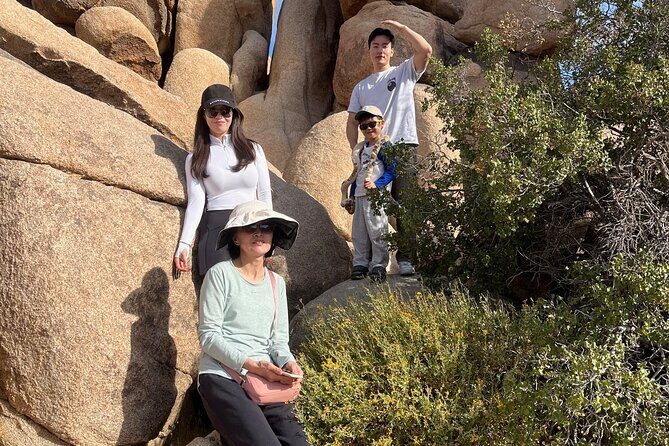 Sightseeing Adventure Tour of Joshua Tree National Park - The Sum Up