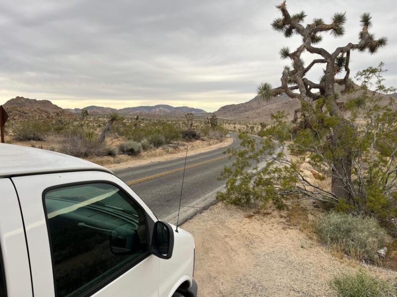 Sightseeing Adventure Tour of Joshua Tree Park (Max 10) - Key Points