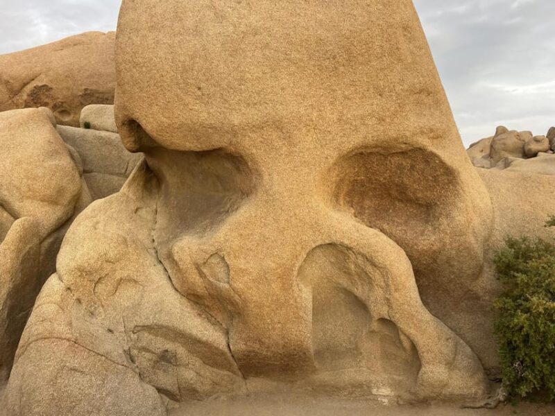 Sightseeing Adventure Tour of Joshua Tree Park (Max 10) - Practical Tips for Participants