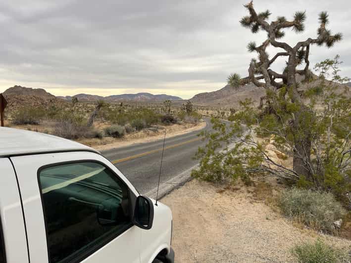 Sightseeing Adventure Tour of Joshua Tree Park (Max 10) - Wrapping It Up