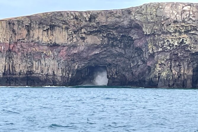 Sightseeing Around Nólsoy to See Puffins - Safety Measures and Passenger Comfort