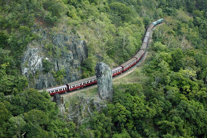 Sightseeing Kuranda Self-Driving Tour - Authentic Reviews: What Travelers Say