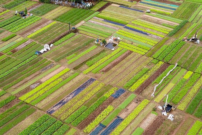 Sightseeing My Son and around Hoi An by car with private driver. - Exploring Local Villages: Pottery, Coconut Forest, and Vegetable Gardens