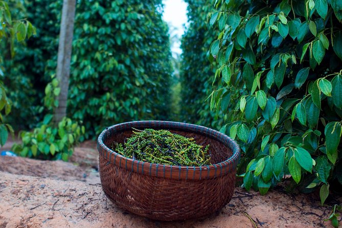 Sightseeing to the South of Phu Quoc Island and Relax on Sao Beach - What Travelers Say