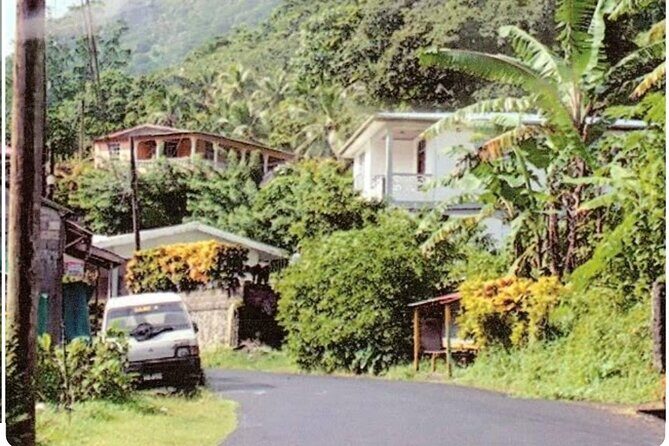 Sightseeing Tour in Ocho Rios - Authentic Experiences and Honest Feedback