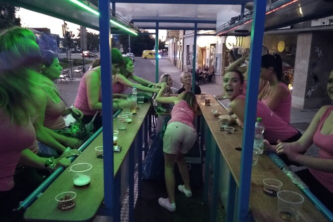 Sightseeing Tour in the Czech Republic: Beer Bike in Pilsen - Accessibility and Restrictions