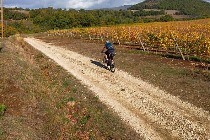 Sightseeing Tuscany by touring bike - 1 day rental - Who Is This Tour Best For?