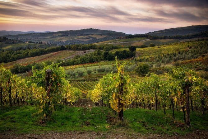 Sightseeing Tuscany by touring bike - 1 day rental - The Scenic Journey: What to Expect