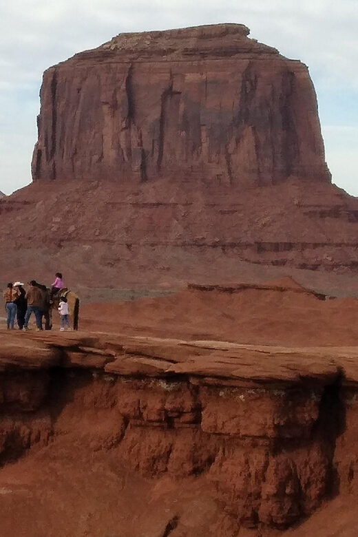 Sightseeing Vehicle Tour - What the Tour Offers and Why It Matters