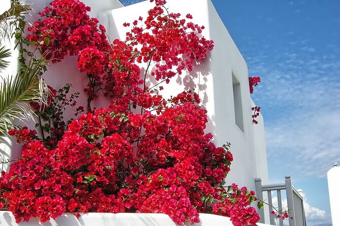 Sightseeing with a Mykonian(Small Group or Private) - Final Thoughts: Why Choose This Mykonos Tour?