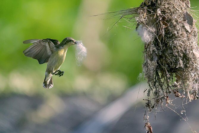 Sigiriya Ancient City and Countryside from Kandy - A Close Look at the Itinerary