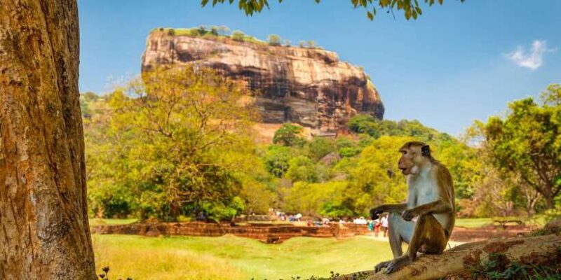 Sigiriya and Dambulla Day Tour from Kaluthara - The Sum Up
