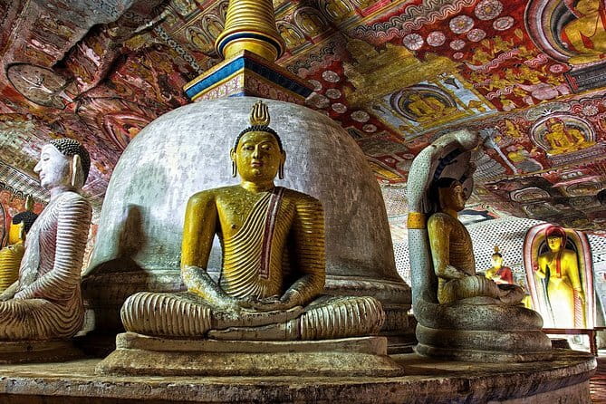Sigiriya and Dambulla Day Tour | From Kandy - The Real Experience: What Travelers Say