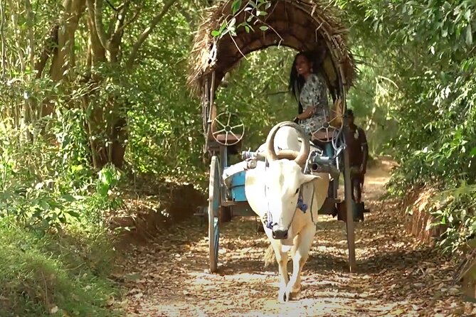 Sigiriya and Dambulla Private Day Tour by Tuk-Tuk or Car - The Itinerary: What You Can Expect