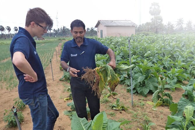 Sigiriya and Dambulla Private Full-Day Guided Tour - Authentic Experiences
