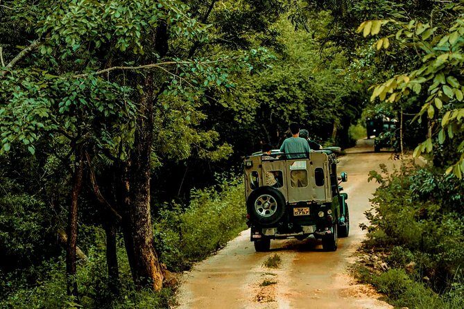 Sigiriya and Minneriya Great Escape - Key Points