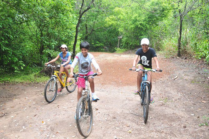 Sigiriya Cycle Tour: Explore Village Life in Sigiriya & Enjoy a Village Lunch - Who Should Consider This Tour
