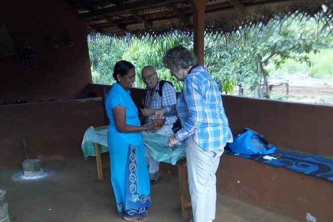 Sigiriya & Dambulla Day Excursion From Negombo - What Travelers Say