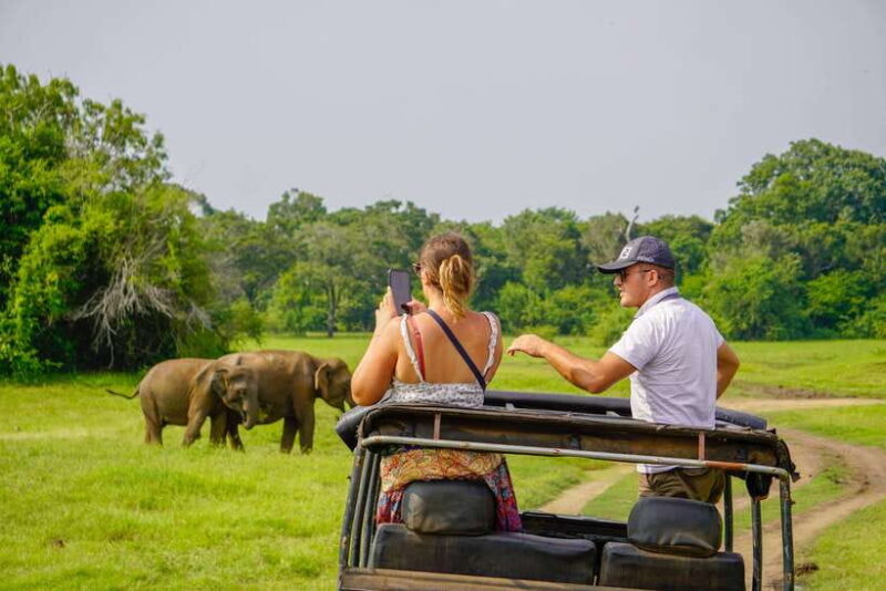 Sigiriya: Elephant Safari at Minneriya National Park - What to Expect
