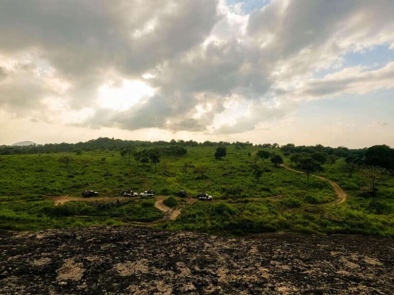 Sigiriya: Elephant Safari at Minneriya National Park - What’s Included and What’s Not