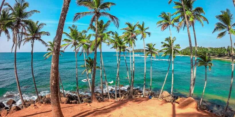 Sigiriya, Kandy 5-day Private Tour with beach, hill country - The Sum Up
