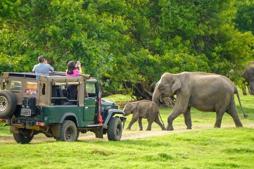 Sigiriya Lion Rock & Minneriya National Park Private Tour - FAQ
