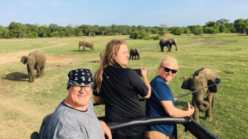 Sigiriya & Minneriya Elephant full day tour - The Transportation and Duration