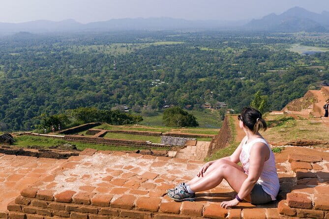 Sigiriya & Minneriya Safari Tour from Habarana - Review Summary and Real Traveler Feedback