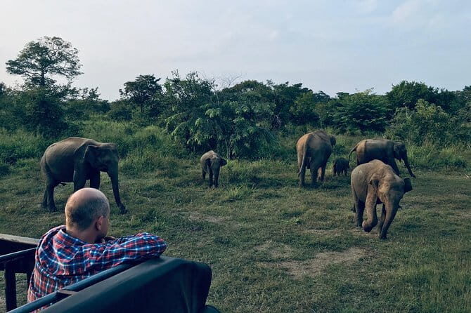 Sigiriya & Minneriya Safari Tour from Habarana - Who Might Want to Skip or Modify This Tour?