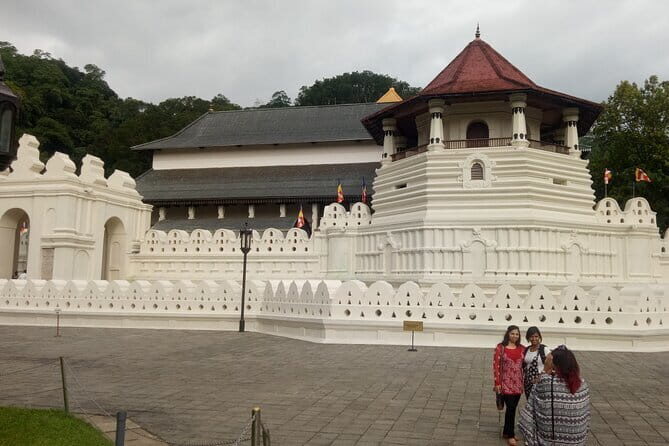 Sigiriya & Minneriya Safari Tour from Wadduwa - Practical Details and What to Expect