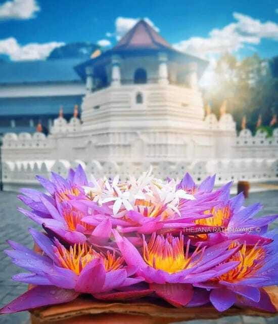 Sigiriya: Private Kandy Transfer: Visit Dambulla Cave Temple - Frequently Asked Questions