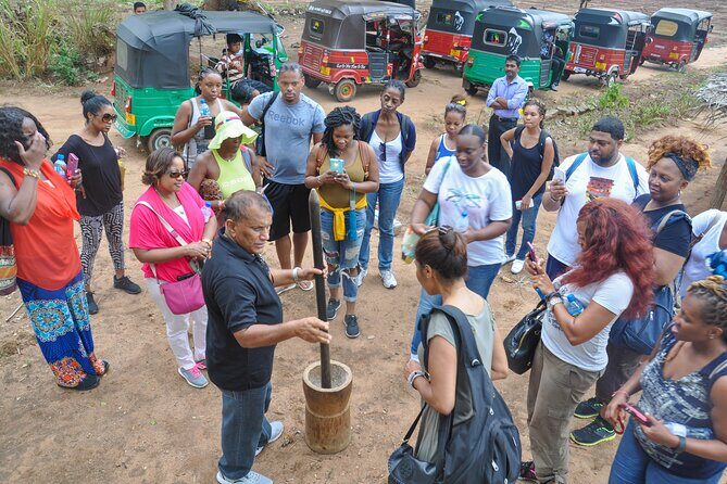Sigiriya Rock and Countryside from Sigiriya - An In-Depth Look at the Tour Experience