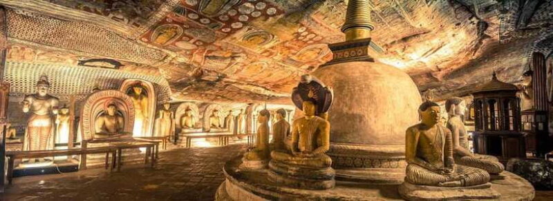 Sigiriya Rock and Dambulla Temples Day Trip - Who Will Love This Tour?