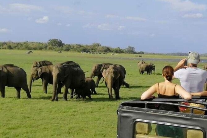Sigiriya Rock & Cave Temple with Jeep Safari Private Day Trip - What Our Reviewers Say