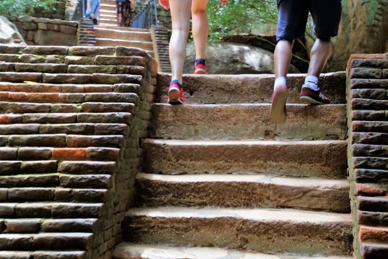 Sigiriya: Rock Fortress Private Guided Walking Tour - Why This Tour Offers Great Value
