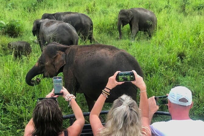 Sigiriya Rock, Village Tour and Wild Elephant Safari Sri Lanka - Exploring Sri Lanka’s Hidden Gems: Sigiriya Rock, Village Life, and Elephant Safaris