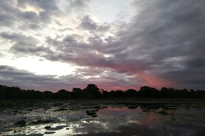 Sigiriya Sunrise/Sunset Guided Boat Ride - Frequently Asked Questions