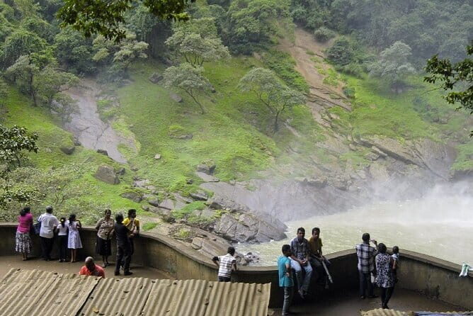 Sigiriya to Ella Private Transport with Waterfall Visit - Analyzing the Value