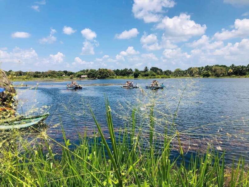 Sigiriya: Village Life and Sri Lankan Lunch - Exploring Village Life and a Traditional Sri Lankan Lunch Near Sigiriya