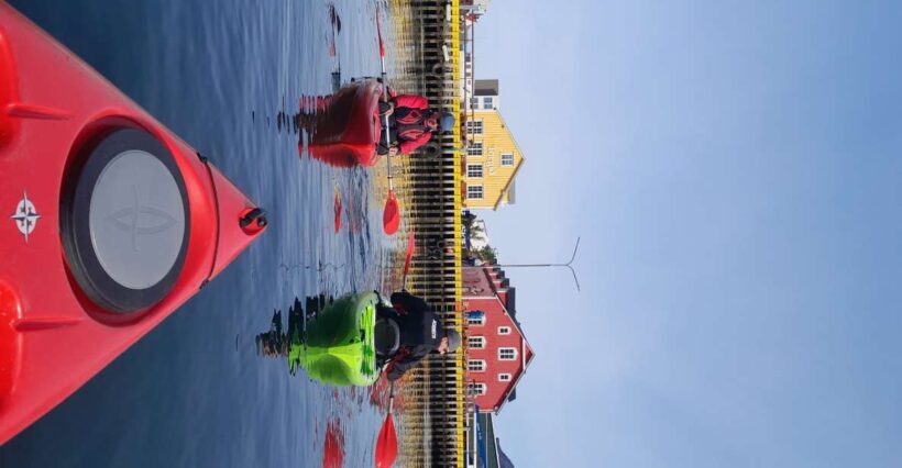 Siglufjörður / Siglufjordur: Guided kayak tour. - FAQ