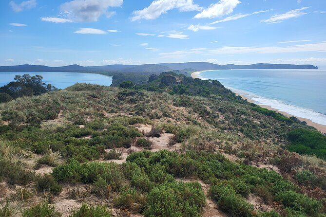Signature Bruny Island Tour - Hobart & SE Tasmania - Key Points