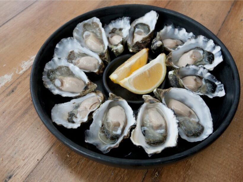 Signature Bruny Island Tour - Hobart & SE Tasmania - Key Points