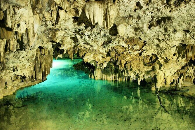 Silent Meditation in the Heart of the Cenote - Private groups - What to Expect: The Experience in Detail