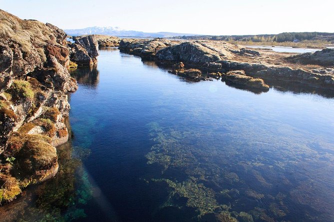 Silfra Drysuit Snorkeling Tour with Free Photos - From Reykjavik - Who Will Love This Tour?