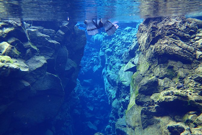 Silfra Fissure Snorkeling From Reykjavík - Free Underwater Photos - FAQs