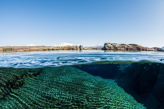 Silfra: Snorkeling Between Tectonic Plates Pick Up from Reykjavik - The Itinerary: What to Expect