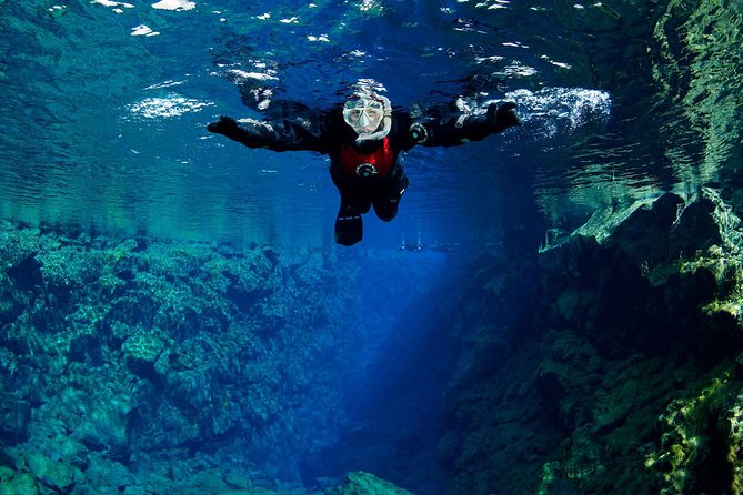 Silfra: Snorkeling Between Tectonic Plates Pick Up from Reykjavik - Real Experiences from Travelers