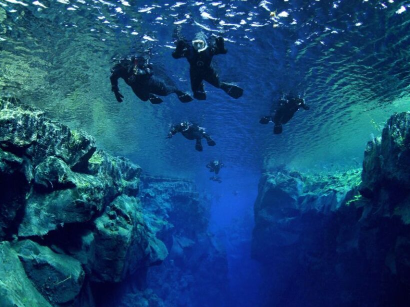 Silfra: Snorkeling Tour Between Tectonic Plates - What the Reviews Say
