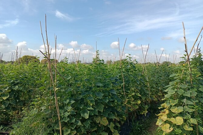 Silk Island at Twilight Cycle Encounter - Final Thoughts: Who Will Love This Tour?