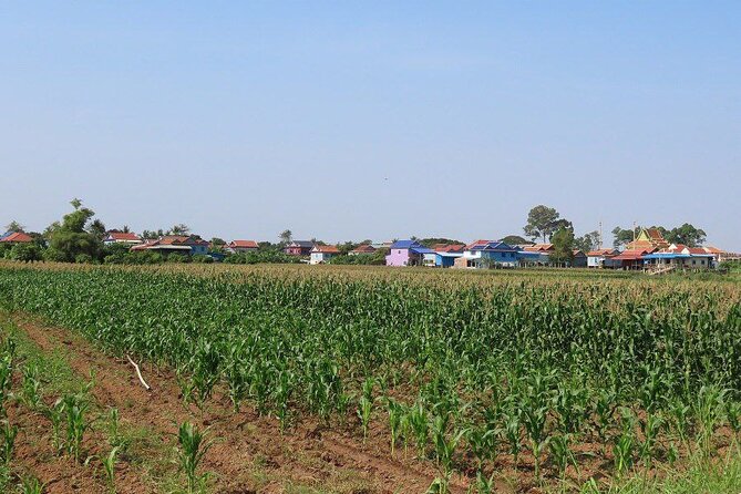 Silk Island at Twilight Cycle Encounter - Frequently Asked Questions